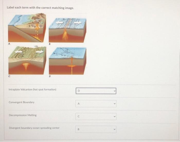 Solved Label each term with the correct matching image. | Chegg.com