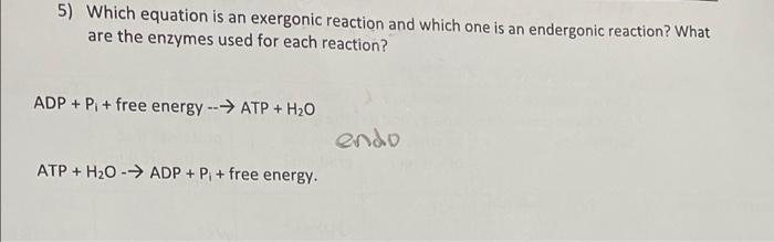 Solved 5) Which equation is an exergonic reaction and which | Chegg.com