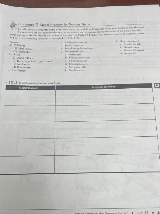 Solved Procedure 1 Model Inventory for Nervous Tissue | Chegg.com