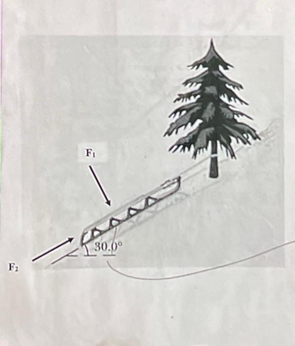 Solved A sled is tied to a tree on a frictionless, snow | Chegg.com