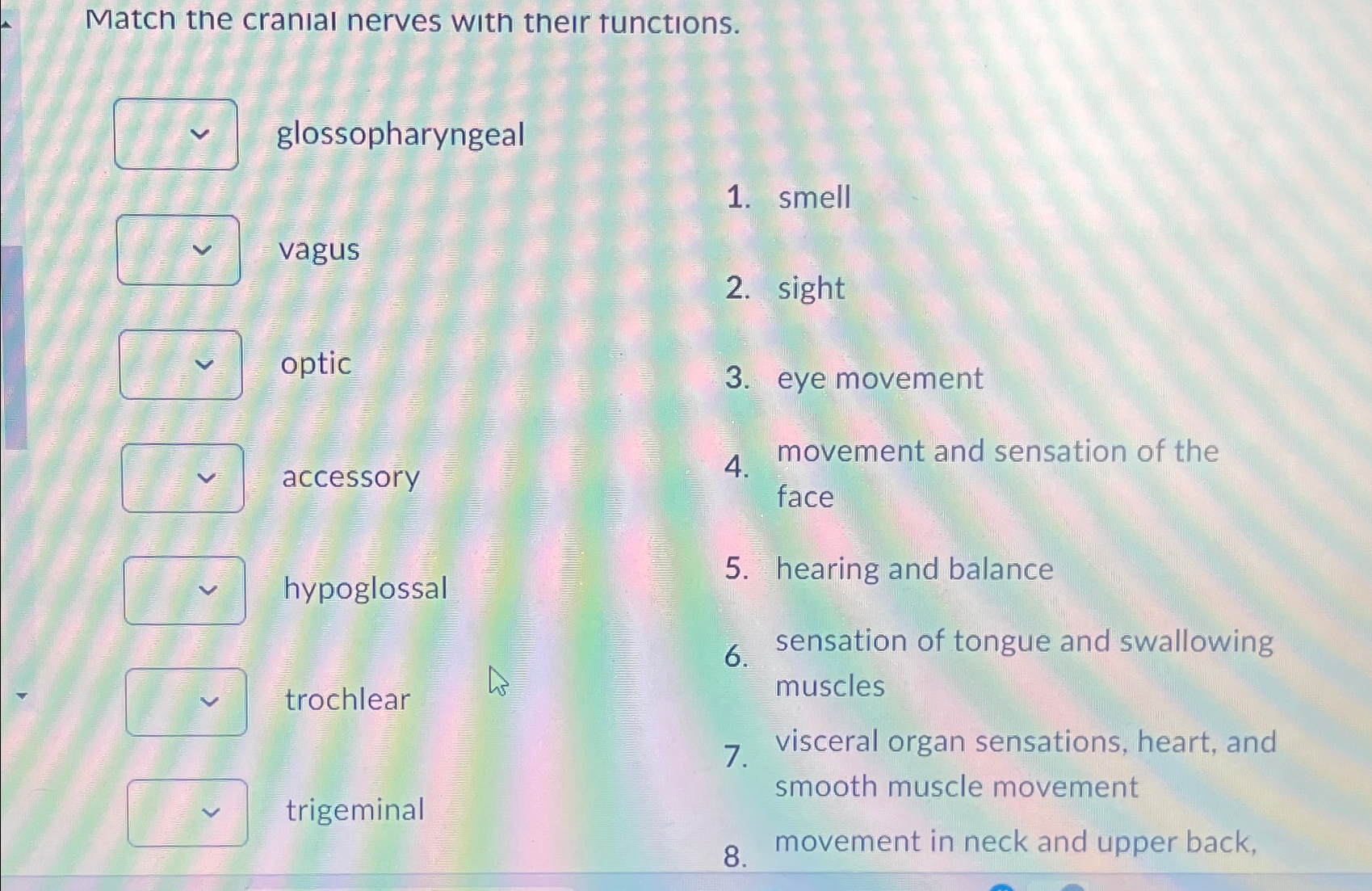 Solved Match the cranial nerves with their functions. | Chegg.com