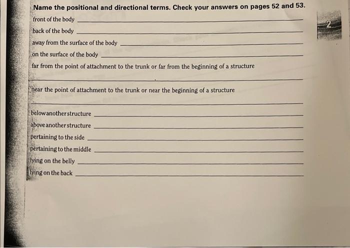 Name the positional and directional terms. Check your | Chegg.com