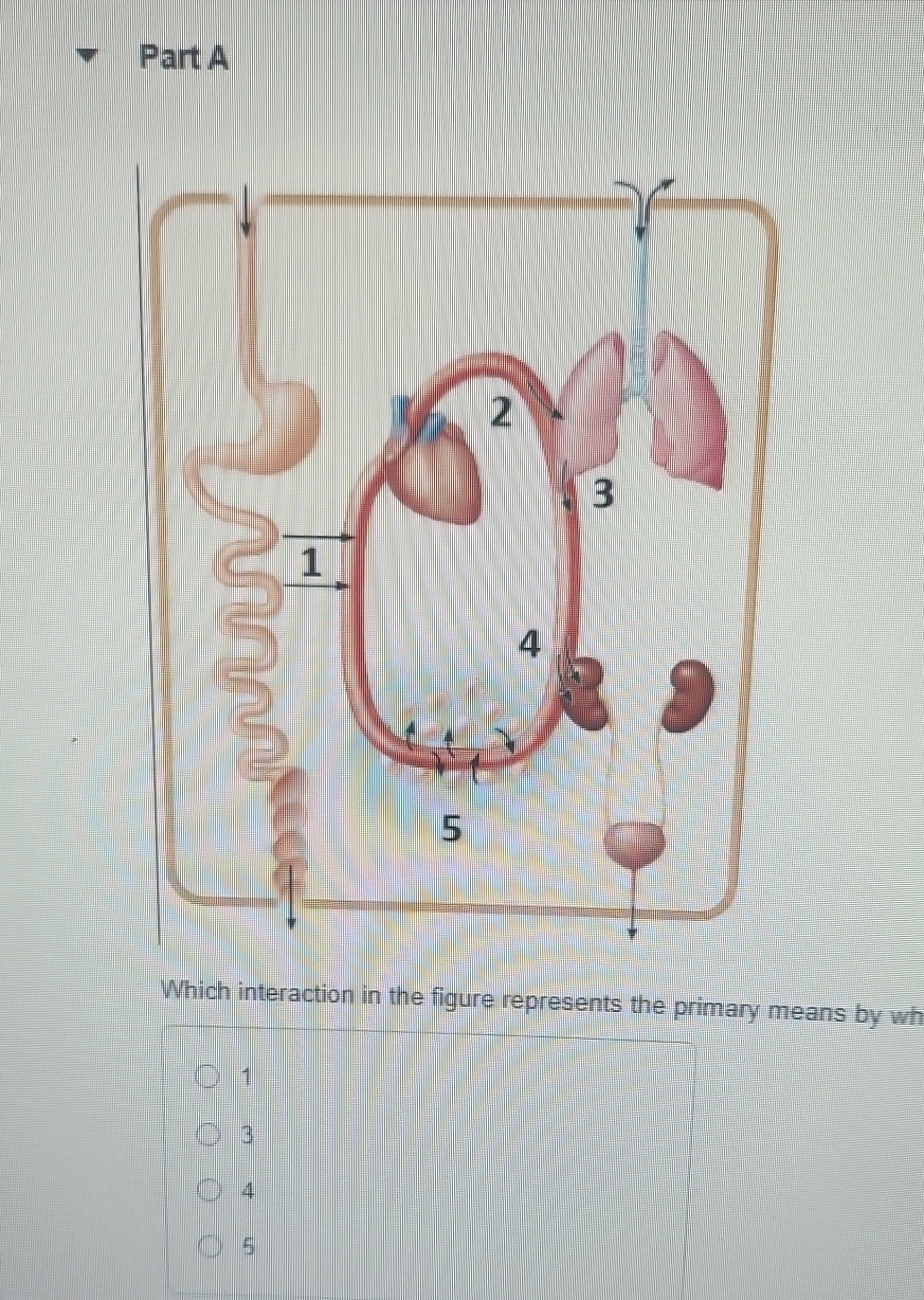 Solved Part AWhich interaction in the figure represents the | Chegg.com