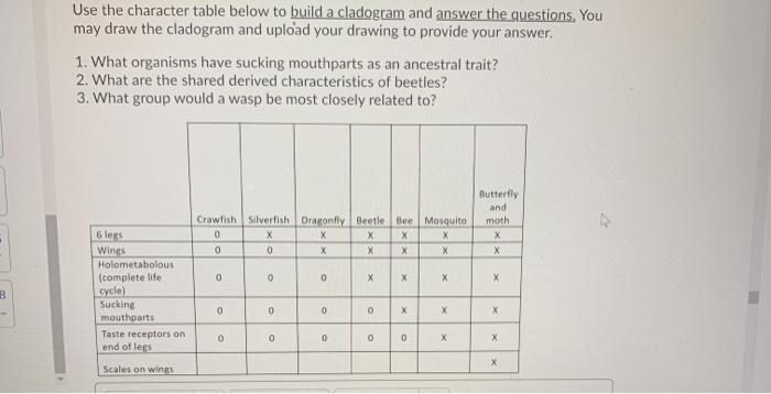 Solved Use the character table below to build a cladogram | Chegg.com