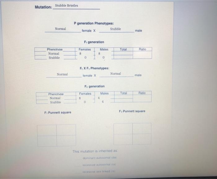 Solved Mutation: Bar eye shape Normal P generation | Chegg.com