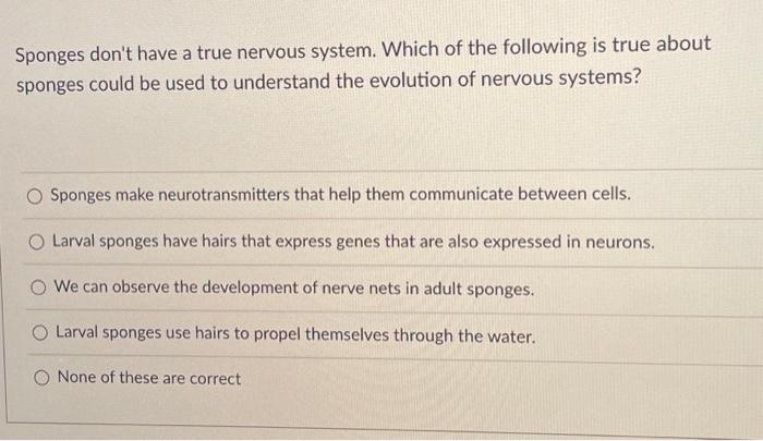 Solved Sponges don't have a true nervous system. Which of | Chegg.com