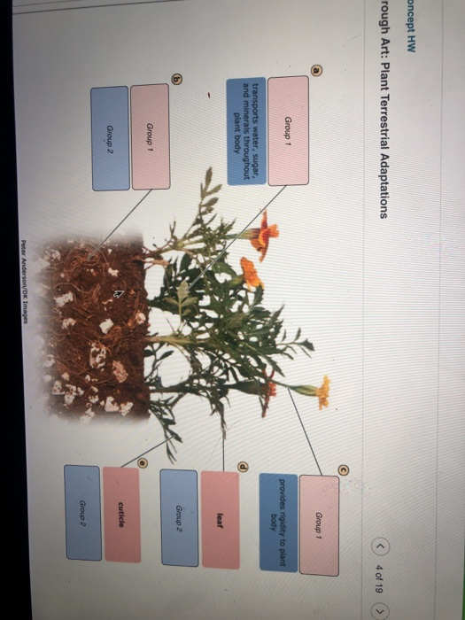Solved: All Information Given It Is Just A Fill In The Bla... | Chegg.com