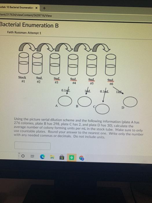 astlab 10 Bacterial Enumeration X | Chegg.com