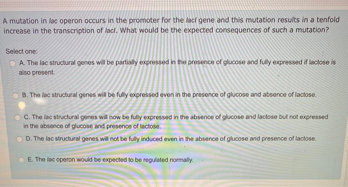 Solved A mutation in lac operon occurs in the promoter for | Chegg.com