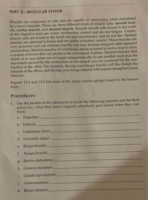 Solved PART 2-MUSCULAR SYSTEM Muscles are composed of cells | Chegg.com