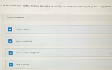 Solved What characteristics of bacteria/lungi are observable | Chegg.com