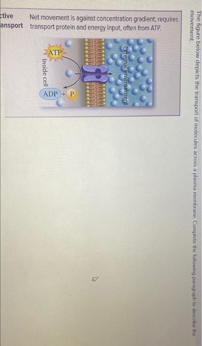 Solved The figure below depicts the transport of molecules | Chegg.com