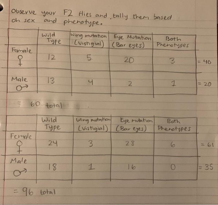 Use table to answer Step 1 and Step 2. Please write | Chegg.com