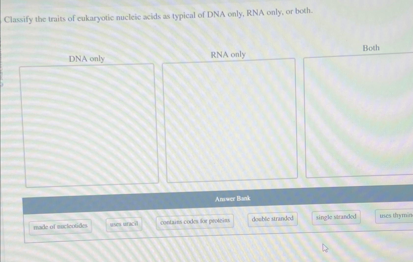 Solved Classify the traits of eukaryotic nucleic acids as | Chegg.com