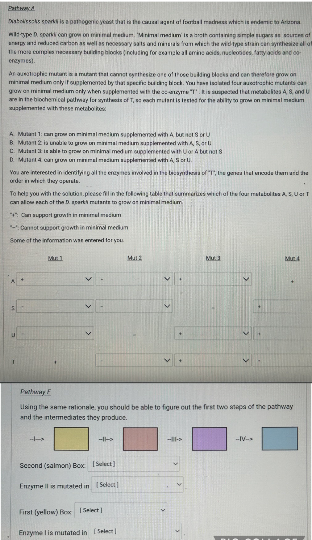 Solved Pathway EUsing the same rationale, you should be able | Chegg.com