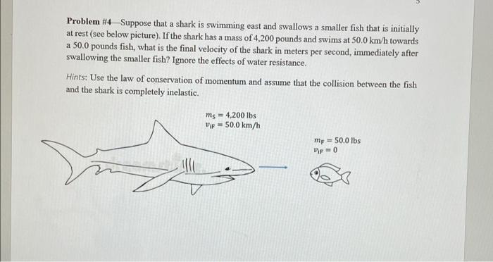 Solved Problem #4 Suppose that a shark is swimming east and | Chegg.com