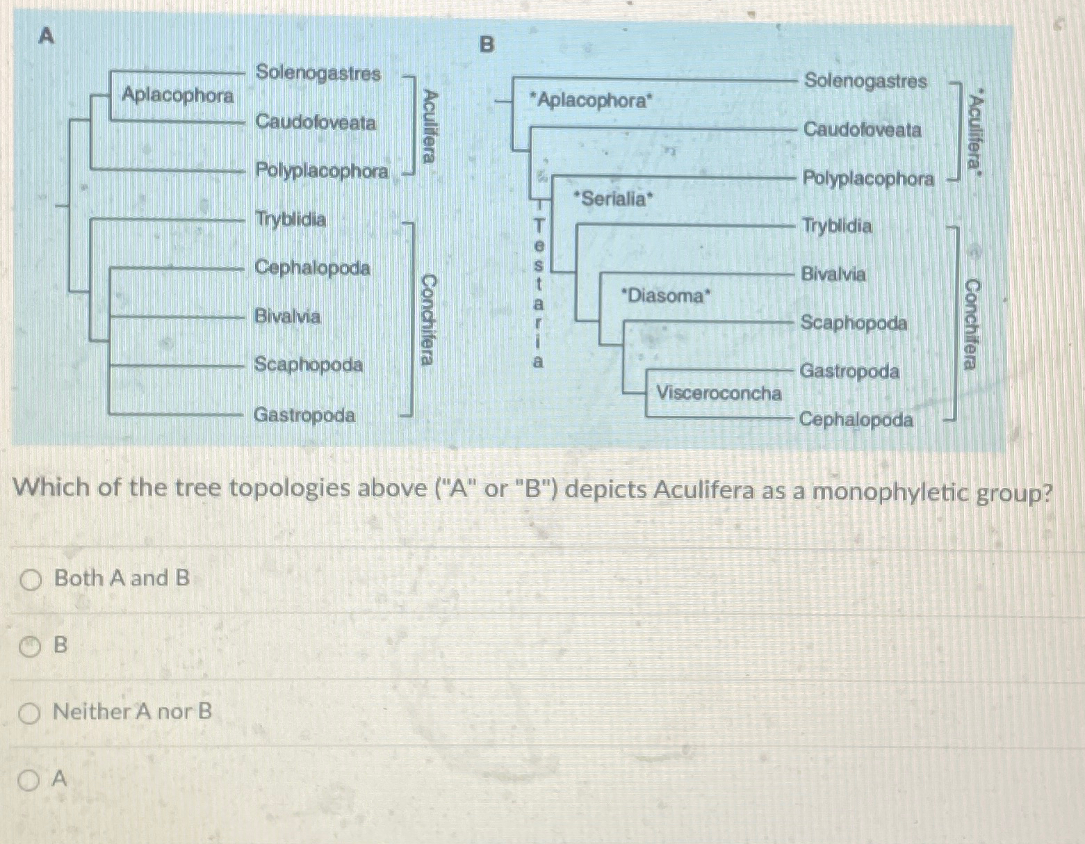 ABWhich of the tree topologies above ("A" ﻿or "B") | Chegg.com