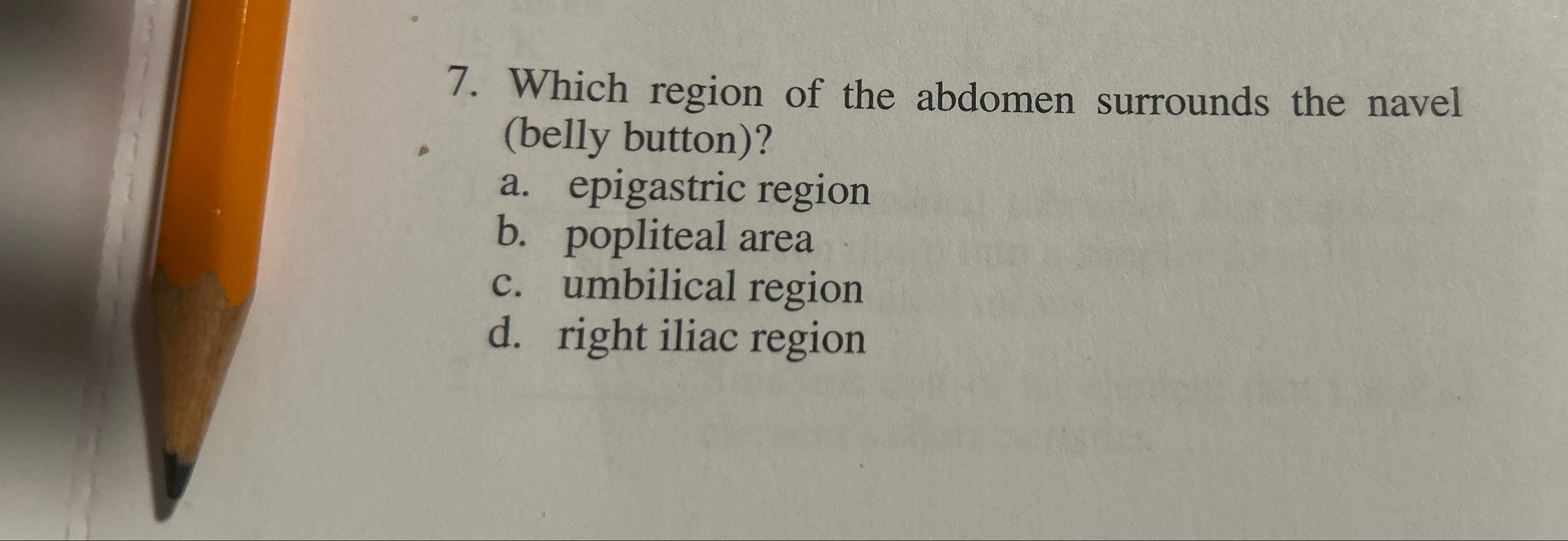 Solved Which region of the abdomen surrounds the navel | Chegg.com