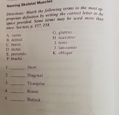 Solved Naming Skeletal MusclesDirections: Match the | Chegg.com