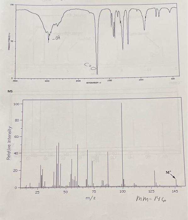Solved MS13 C-NMR | Chegg.com