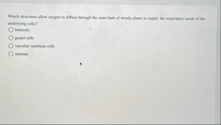 Solved Which structures allow oxygen to diffuse through the | Chegg.com
