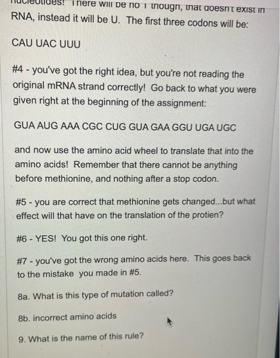 Solved PROTEIN SYNTHESIS PROBLEM SHEET Using the codon wheel | Chegg.com