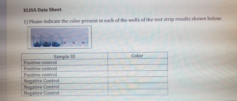 Solved ELISA Data Sheet 1) Please indicate the color present | Chegg.com