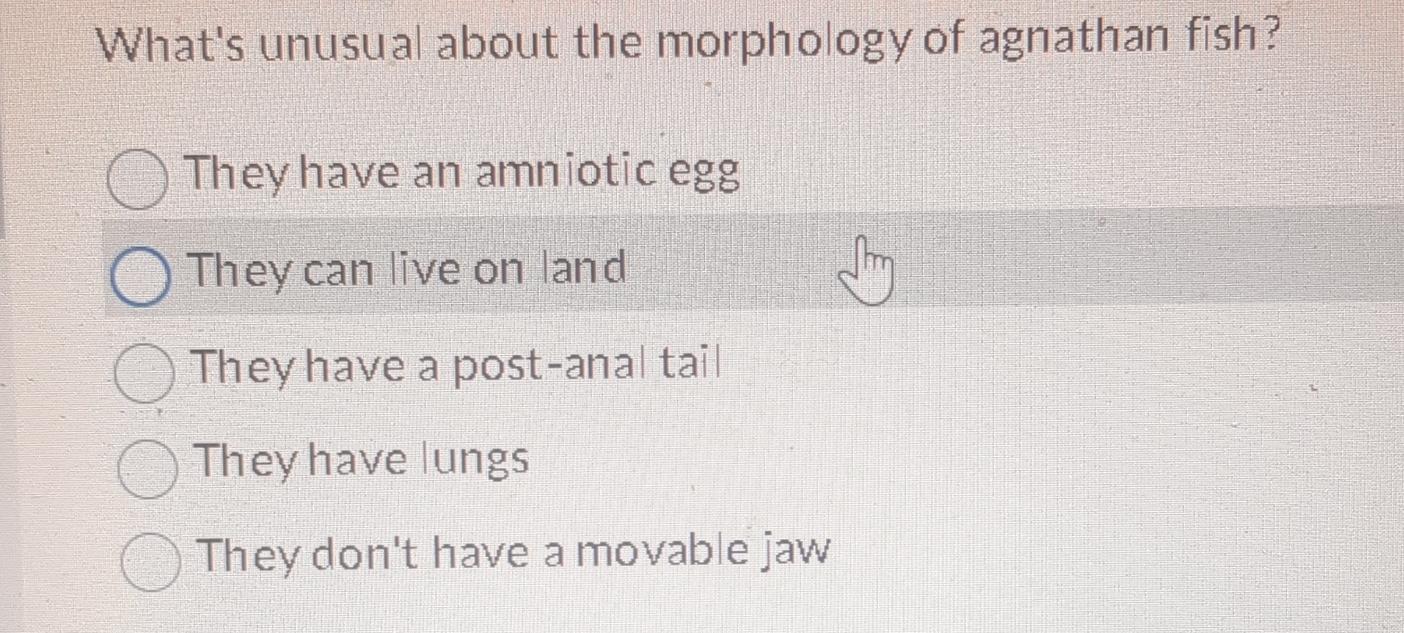 Solved What's unusual about the morphology of agnathan | Chegg.com