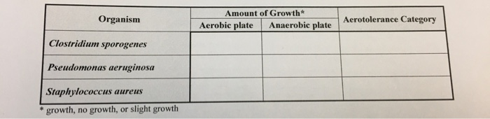 Solved Notes: Each group will use two TSA plates divided | Chegg.com