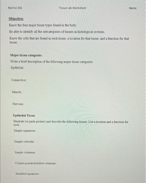 Solved Biol Sci 201 Tissue Lab Worksheet Name: Objectives | Chegg.com