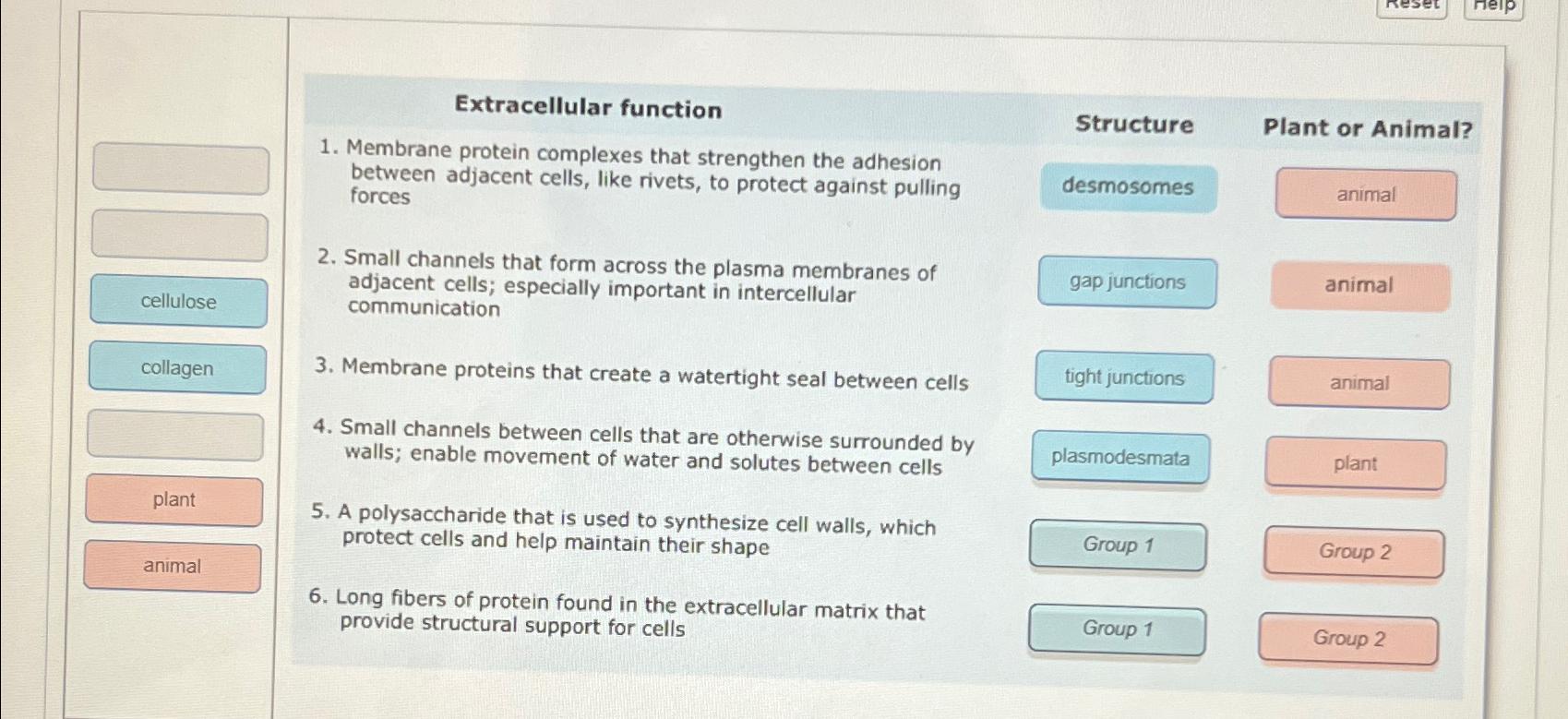 Solved Extracellular functionMembrane protein complexes that | Chegg.com