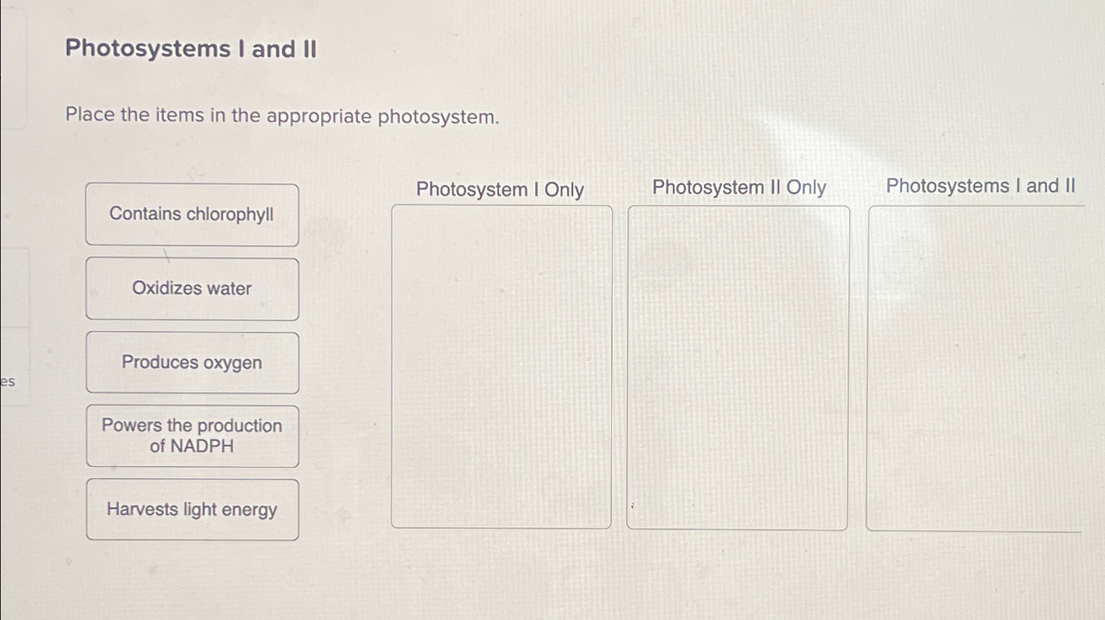 Solved Photosystems I and IIPlace the items in the | Chegg.com
