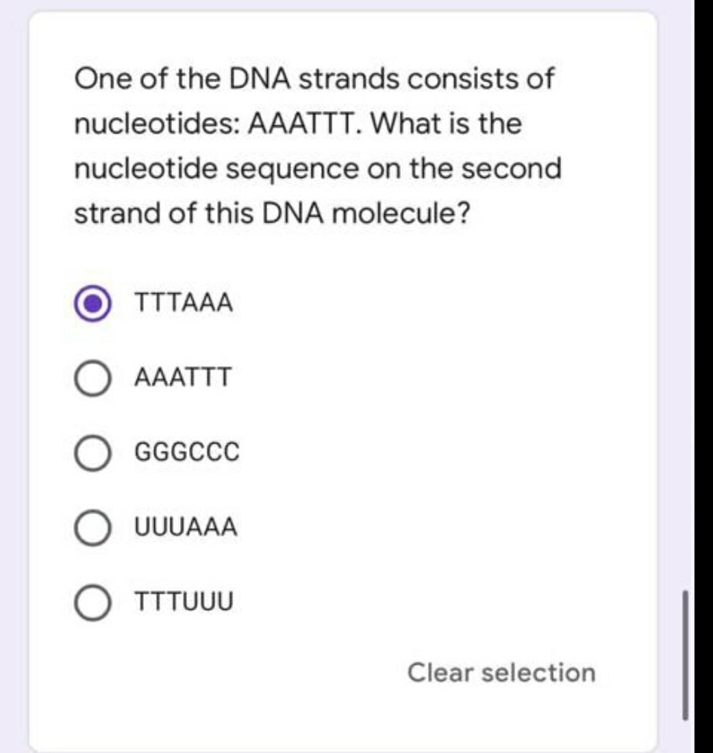 Solved RNA molecule contains triplets UAG AAT TGA ATG TAA | Chegg.com