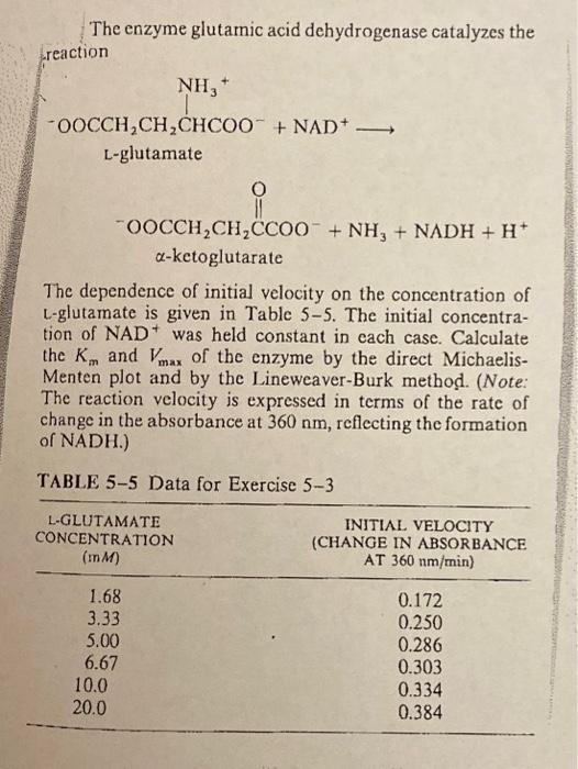 The enzyme glutamic acid dehydrogenase catalyzes the | Chegg.com