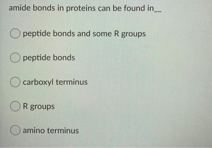Solved amide bonds in proteins can be found in__ peptide | Chegg.com