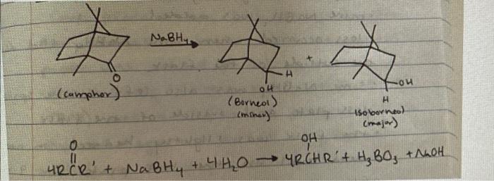 please draw the reduction reaction of camphor to | Chegg.com