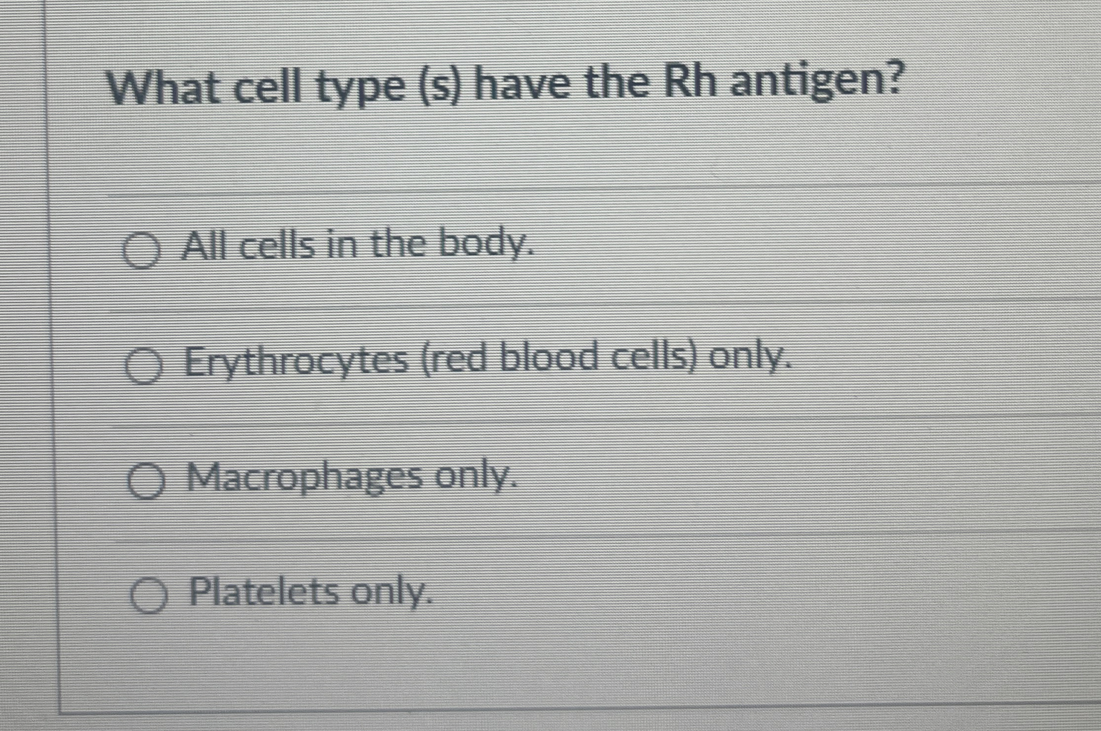 Solved What cell type (s) ﻿have the Rh antigen?All cells in | Chegg.com