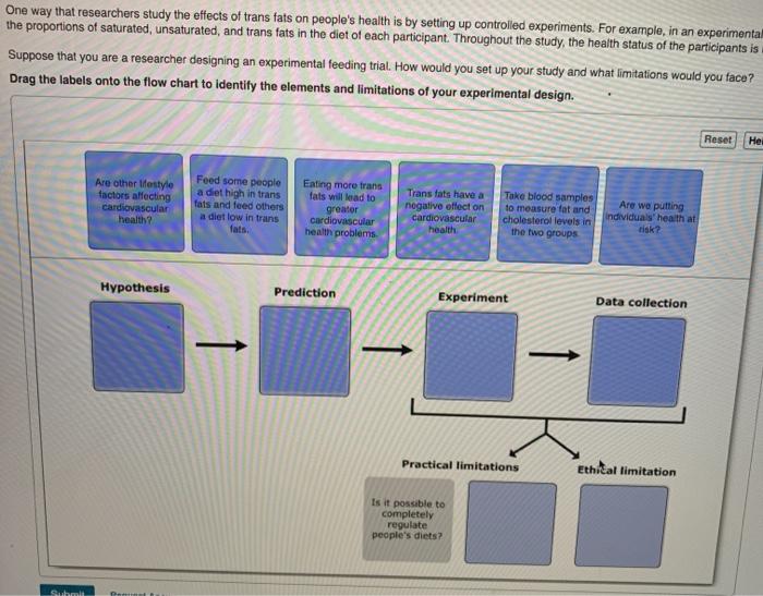 Solved One way that researchers study the effects of trans | Chegg.com