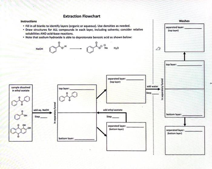 Solved Extraction Flowchart Instructions - Fill in all | Chegg.com