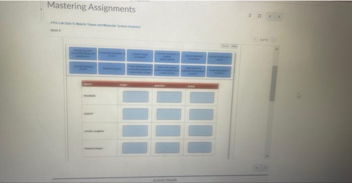 Itum Mastering Assignments | Chegg.com