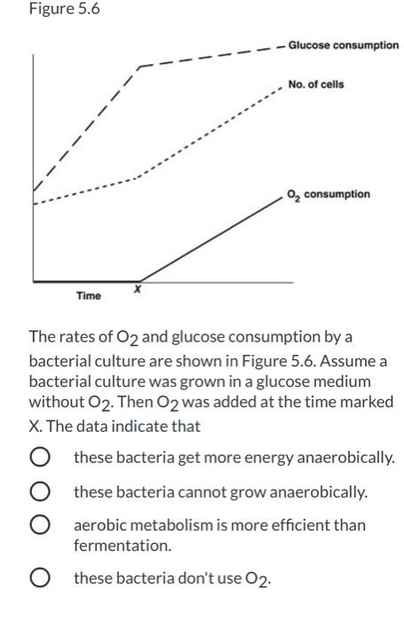 Solved Figure 5 6 Glucose Consumption No Of Cells O