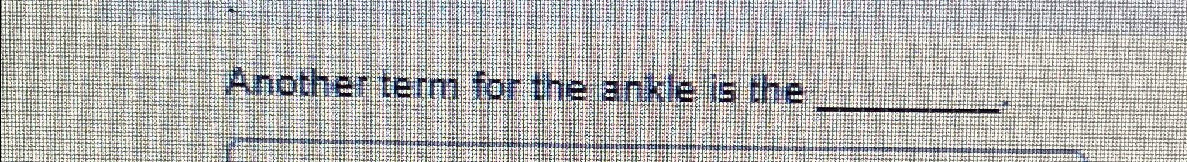 Solved Another term for the ankle is the | Chegg.com