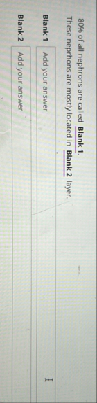 Solved 80% ﻿of all nephrons are called Blank 1.These | Chegg.com