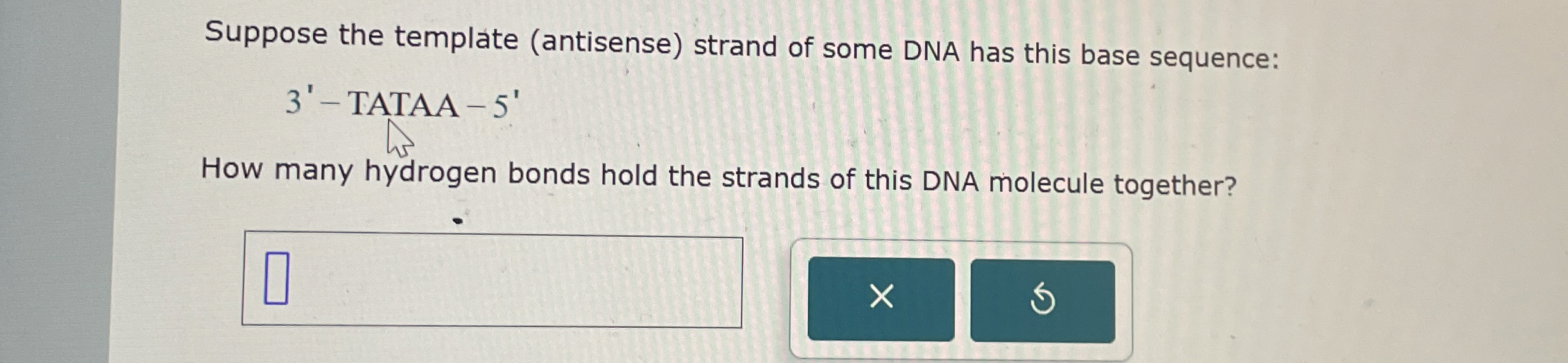 Solved Suppose the template (antisense) ﻿strand of some DNA | Chegg.com