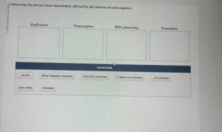 Solved Determine the process must immodiately affected by | Chegg.com
