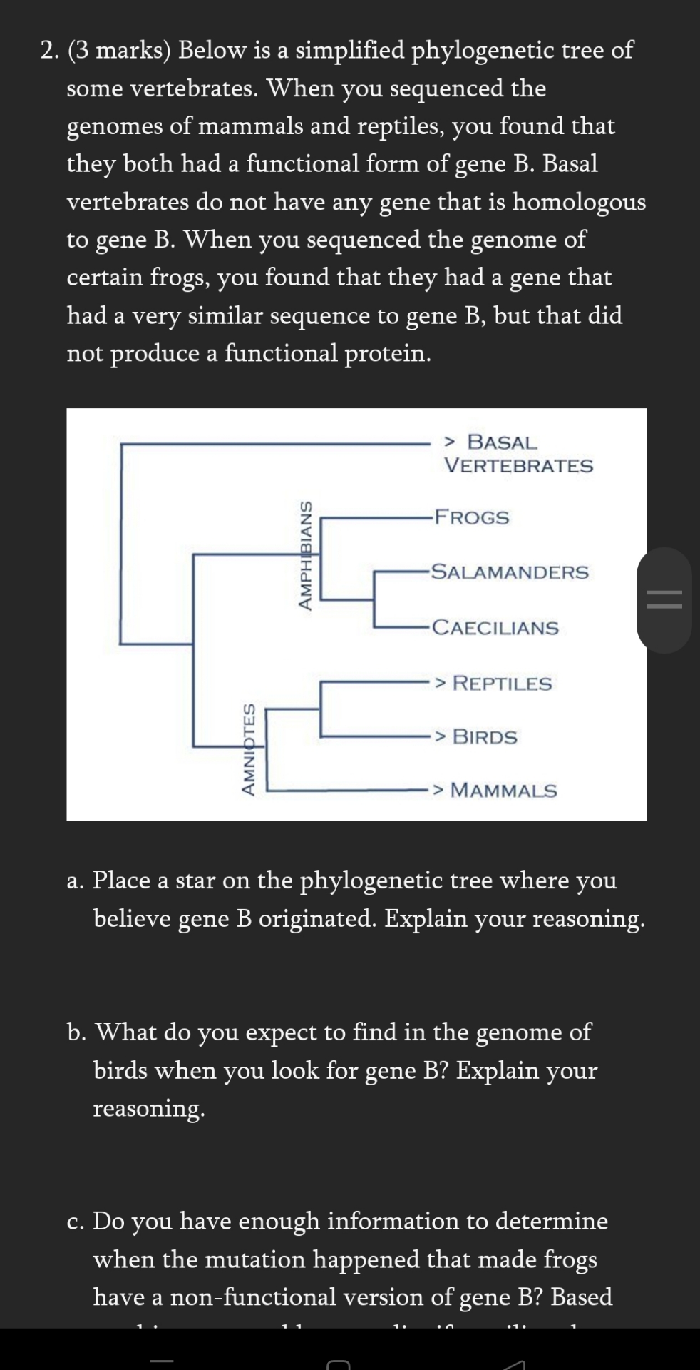 Solved (3 ﻿marks) ﻿Below is a simplified phylogenetic tree | Chegg.com