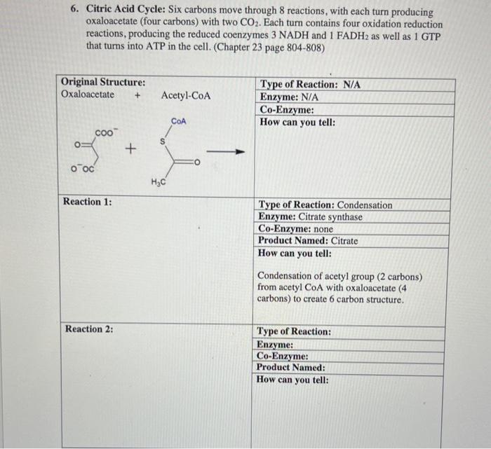 6. Citric Acid Cycle: Six carbons move through 8 | Chegg.com