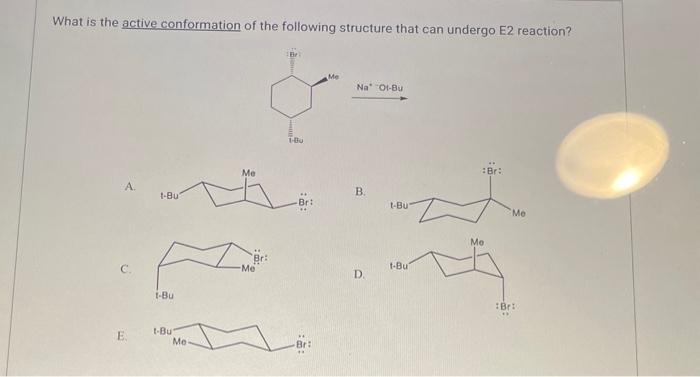 Solved For the molecule below, which of the following Newman | Chegg.com