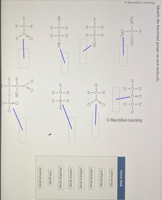 Solved Identify the functional groups on each molecule. | Chegg.com