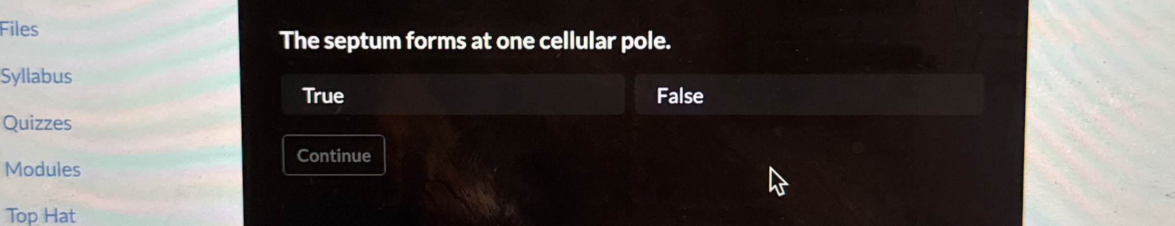 Solved The septum forms at one cellular pole.True false | Chegg.com